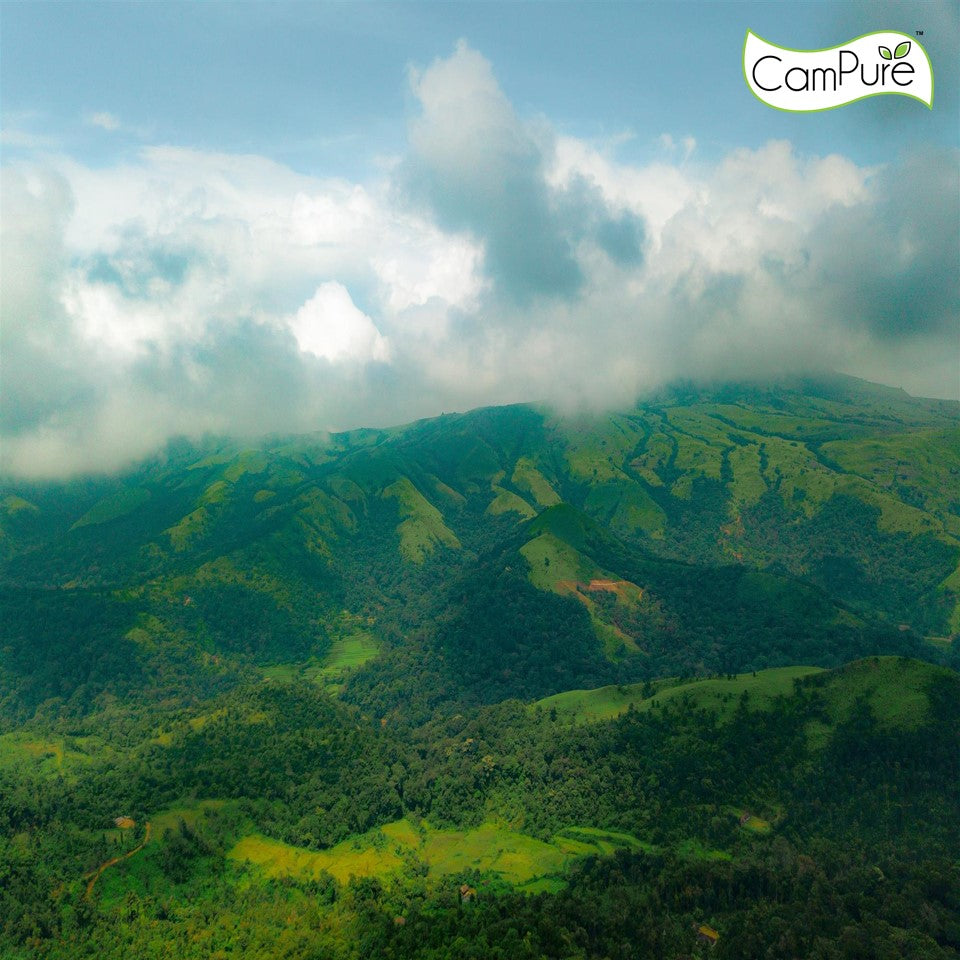 Scotland of India | Coorg, Karnataka – House of Mangalam