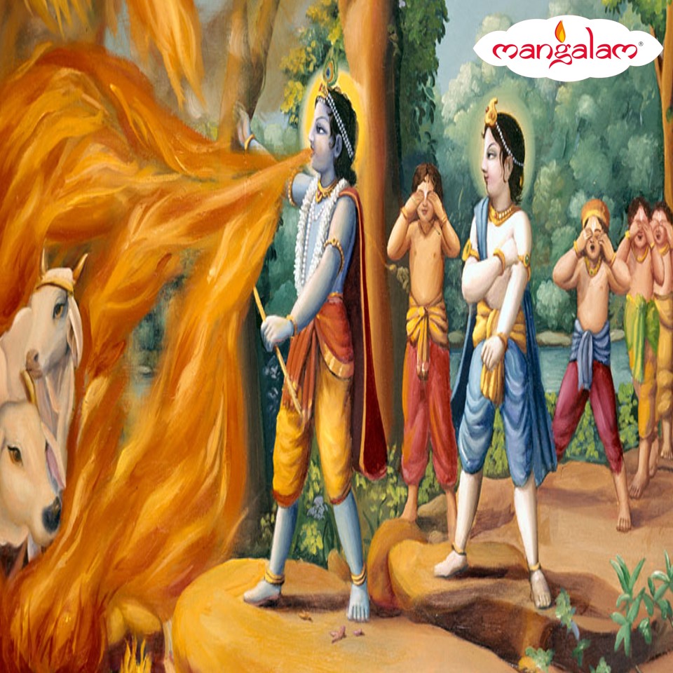 Krishna Swallows Forest Fire – House of Mangalam