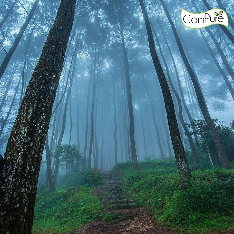 Lambasingi | Andhra Pradesh – House of Mangalam