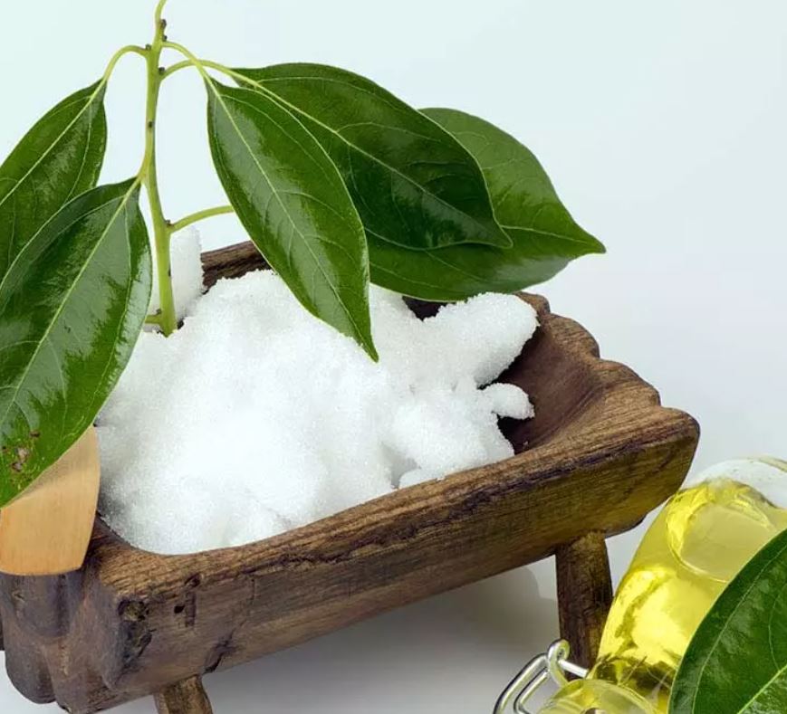Modern Benefits of Camphor – House of Mangalam
